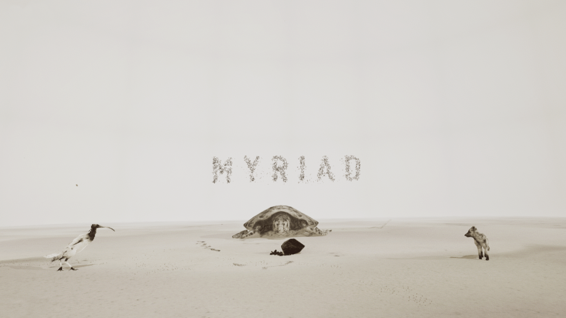 Myriad.Earth Creating Artistic Experiences About Global Animal Pathways ...